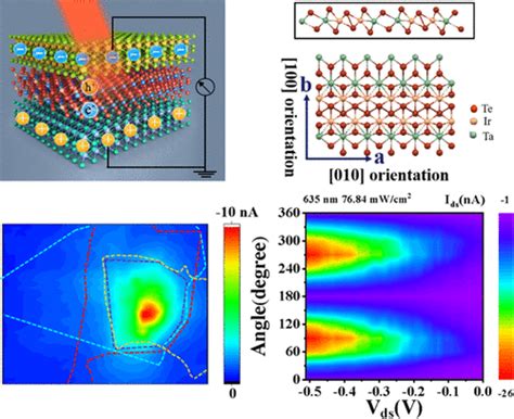 A Polarization Sensitive Self Powered Photodetector Based On A P Wse2
