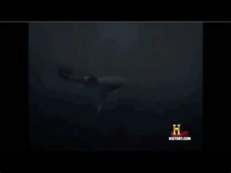 Titanoboa Vs Megalodon Eporner