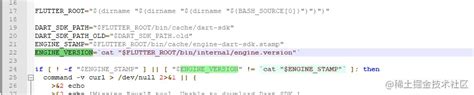 运行flutter Doctor 一直卡在downloading Dart Sdk From Flutter Engine 掘金