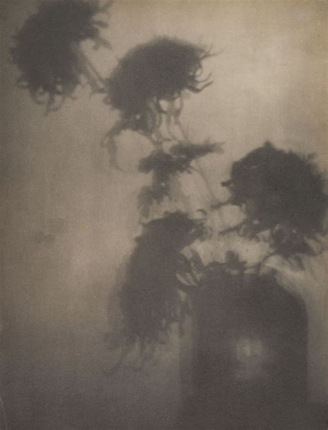 Photos Quicksilver Brilliance Adolf De Meyer Photographs