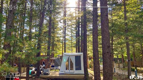 아름다운 휘게의 계절 휘게포레스트 명품 캠핑장 부부캠핑 Ep39 Youtube