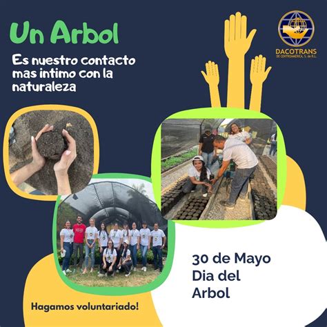 Día Del Árbol Dacotrans