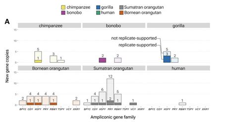 Elizabeth Tseng Phd On Linkedin Use Of Pacbio Iso Seq Data Mapped To