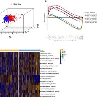 The m5C status was different between the high- and low-risk groups and ...