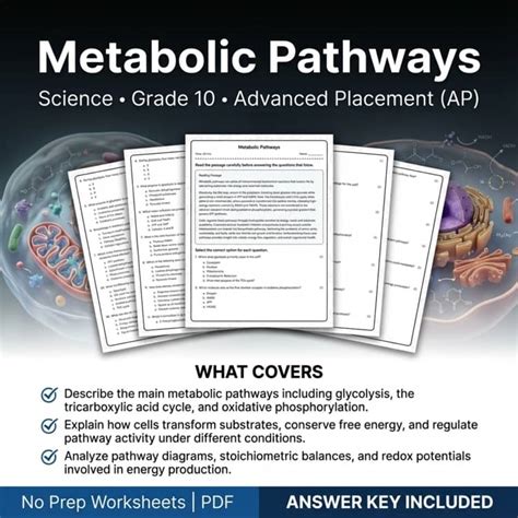 Grade 10 Science Metabolic Pathways Worksheet Printable Pdf Answer