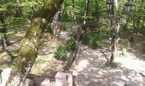 რესტორანი ძველი შუამთა