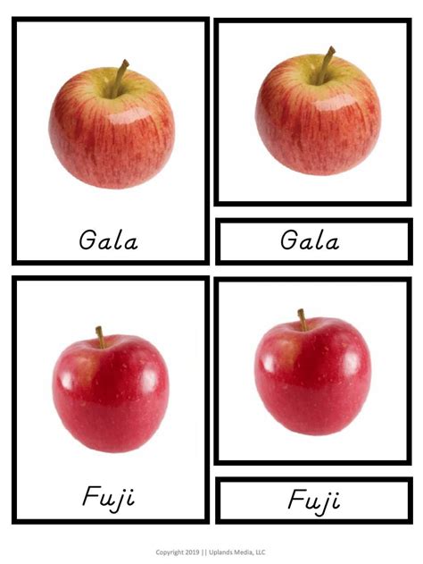 Apple Theme Activities Pack Montessori Inspired Etsy