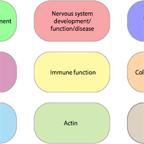 Notable Processes Identified Via Cluego Analysis Download Scientific