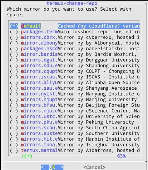 Whats With All The New Repos From China Rtermux