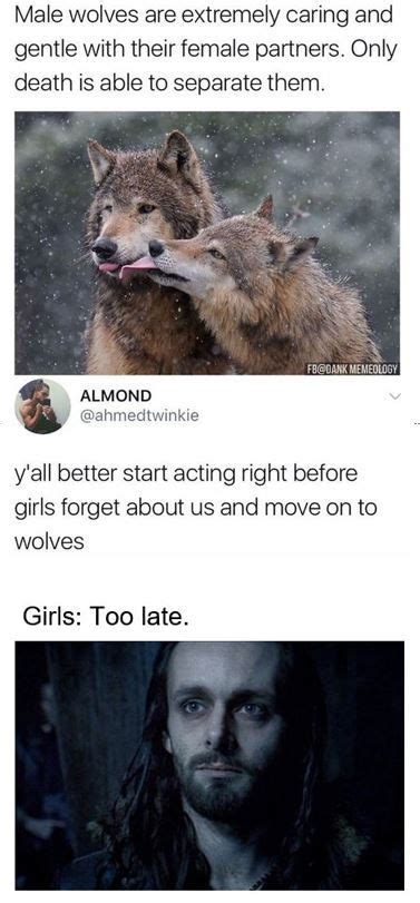 Pin By Sarah On Were Wolfmen Underworld Movies Michael Sheen Werewolf Aesthetic