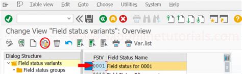 Define Field Status Variants And Groups In Sap S4 Hana Sap Tutorials