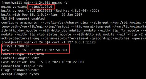 Nginx Server