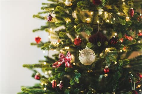 Best Sex Toy Advent Calendars 2024 Shop For Couples Or Solo Play