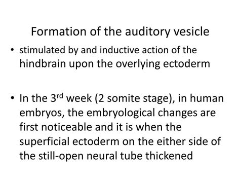 Ppt Ectodermal Derivatives Powerpoint Presentation Free Download