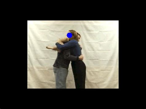 Sam21 Dataset V2 Instance Segmentation Model By Eye Tracking