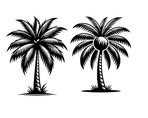 Premium Vector Coconut Tree Vector Illustration