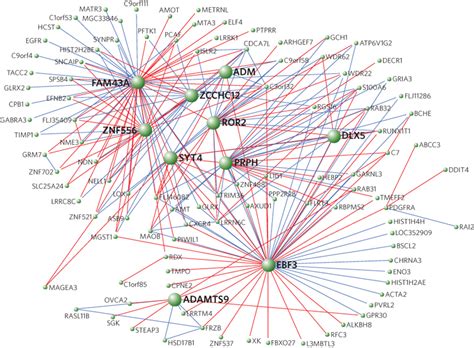 Language Log Sex And Foxp2 Preservation Of Endangered Stereotypes