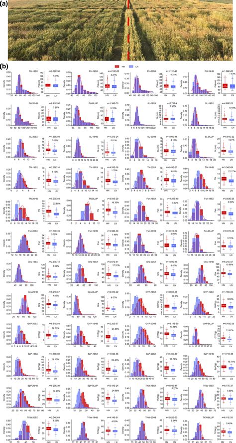 Phenotypic Diversity Of 389 Wheat Accessions A Trial Plots For Hn Download Scientific Diagram