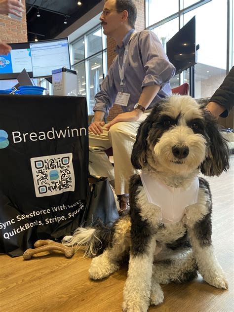 Midatlanticdreamin On Linkedin Salesforcecommunity Mad2023