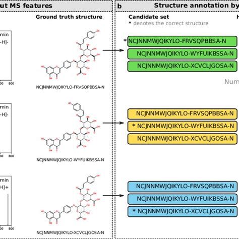 application of lc ms 2 struct to annotate stereoisomers post hoc