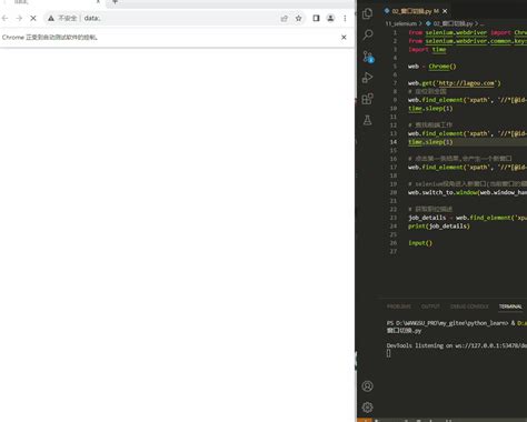 Selenium Python Csdn