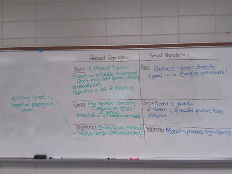 Cell Structure Function And Reproduction
