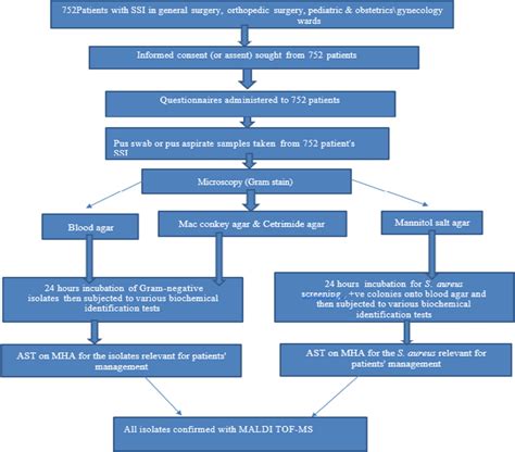 Laboratory Workflow Illustrating Through Patient Recruitment To
