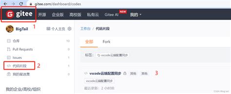 Vscode 插件 Code Settings Sync（配置云端同步）vscode同步 Csdn博客