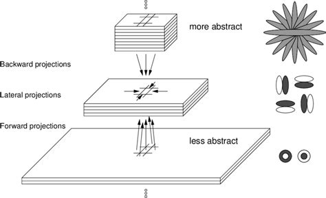 1 Neural Abstraction Pyramid Architecture The Network Consists Of Download Scientific Diagram