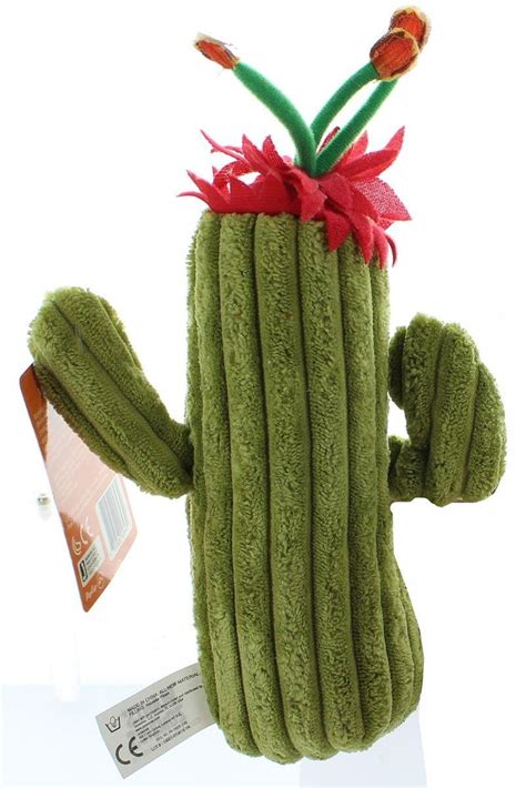 Cactus Plants Vs Zombies