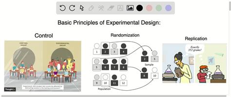 State And Explain The Significance Of The Three Basic Principles Of Experimental Design Numerade
