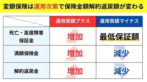 変額保険はやめた方がいい？普通の保険との違いやデメリット・メリットを保険営業に聞いた Otona Life オトナライフ