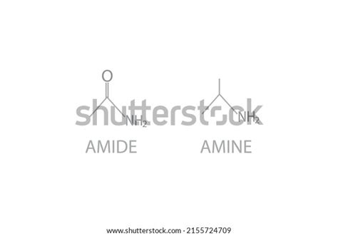 Vektor Stok Amide Amine Molecular Skeletal Chemical Formula Tanpa