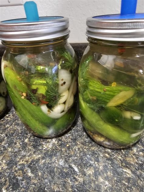 First Fermentation Problem Rfermentation