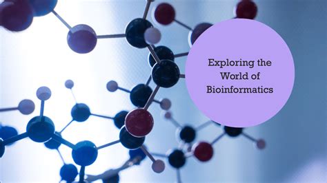 Different Sub Fields In The Bioinformatics Are Different Sub Fields In The Bioinformatics Are