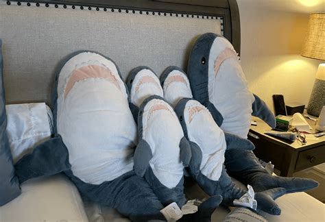 Follow-up: Shonks Restored to Their Rightful Place : r/BLAHAJ