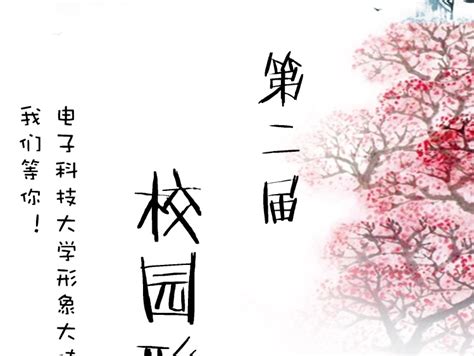 第二届电子科技大学校园形象大使大赛海报 lcw996 站酷zcool