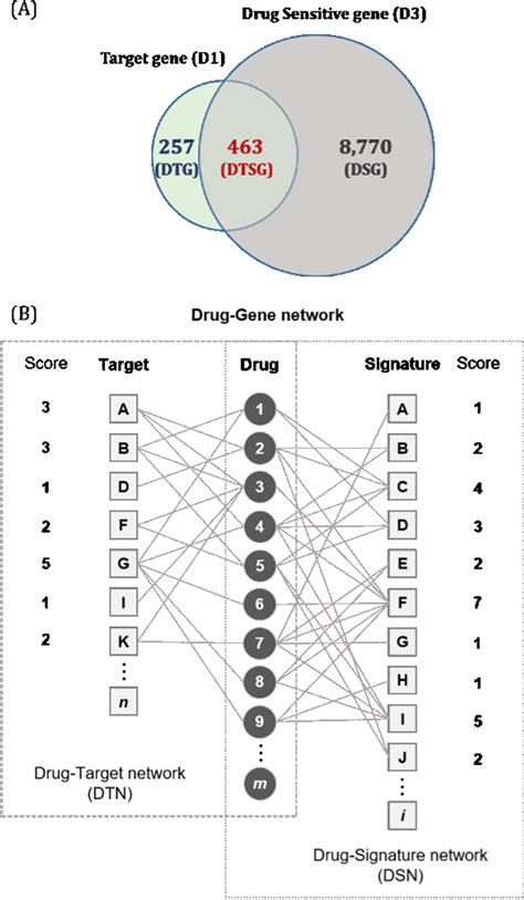 Construction Of The Druggene Network A Venn Diagram Of Gene Groups