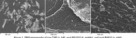 Figure 1 From Bio Based Polyamides Reinforced With Cellulose Nanofibers — Processing And