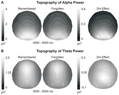 Theta And Alpha Oscillations During Working Memory Maintenance Predict Successful Long Term