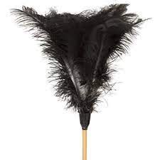 1840mm Feather Duster Long Click Clean