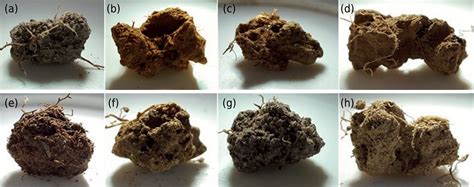 Soil Aggregates Soil Aggregates