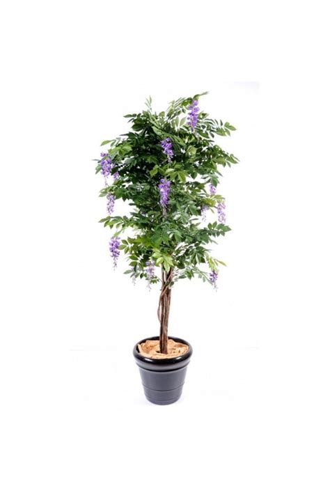 Artificial Wisteria Multi Stem Tree