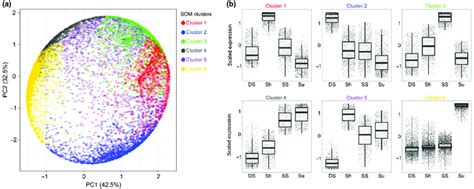 a principal component analysis pca with self organizing map som