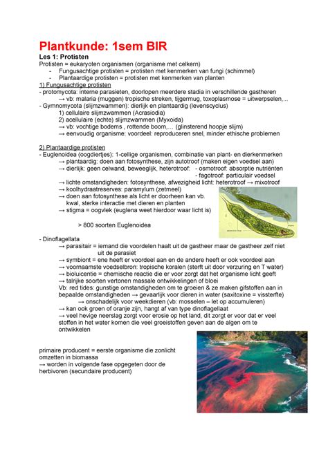 Plantkunde Samenvatting Sem1 Plantkunde 1sem Bir Les 1 Protisten Protisten Eukaryoten