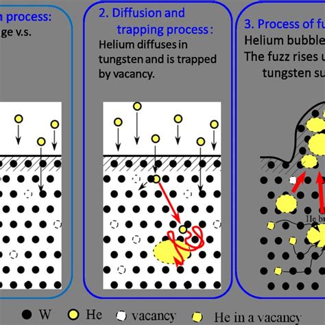 Outlook Chart Of The Fuzz Formation Process Download Scientific Diagram