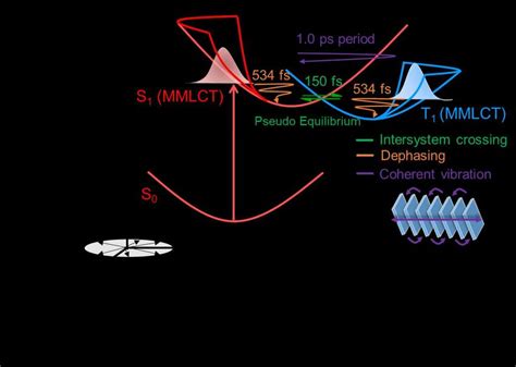 │schematic Representations Of The Key Ultrafast Dynamic Processes Of Vc Download Scientific