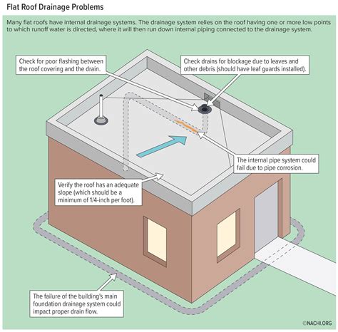 Flat Roof Drainage Problems Inspection Gallery Internachi®