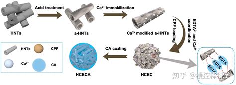 （12）中国科学院合肥物质科学研究院张嘉 具有酸 碱双 Ph 响应和叶面附着力的埃洛石纳米管基复合材料用于疏水性农药的智能输送 知乎