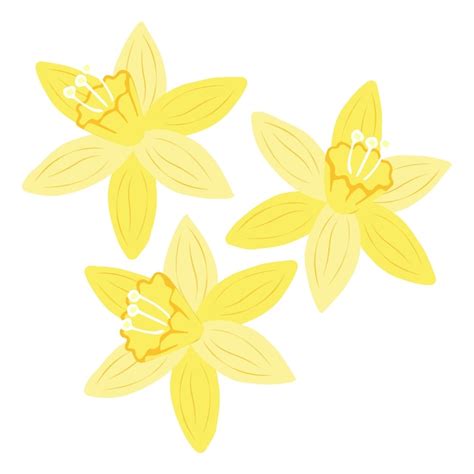 Premium Vector Vector Set Of Yellow Daffodils Isolated On White